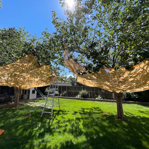 10' X 10' Fruit Tree Catcher for Better Home Gardening & Growers ...