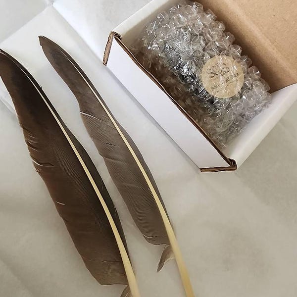 Two Handcut Quills - Etsy