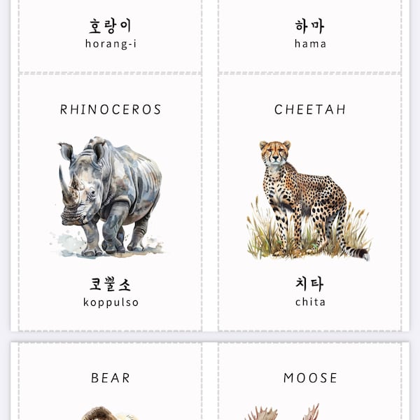 28 Fruit Bilingual Flashcards / English to Japanese, Chinese, Korean ...