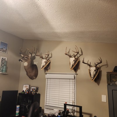 Euro Mount Pedestal - Etsy