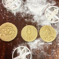 Bacteria Cookie Cutter | Microbiology Biscuit Cutters Microbiologist ...