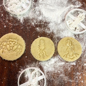 Bacteria Cookie Cutter Microbiology Biscuit Cutters Microbiologist ...