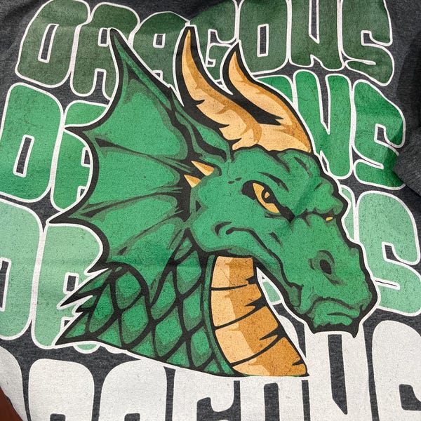 Custom Swan Illustration Rustic Journal Gift, Leather Diary, Bird ...