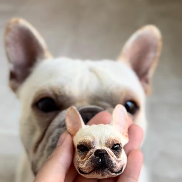 Special Gift for Her/him, Pet Memorial Gift, Custom Pet Portrait Aroma ...