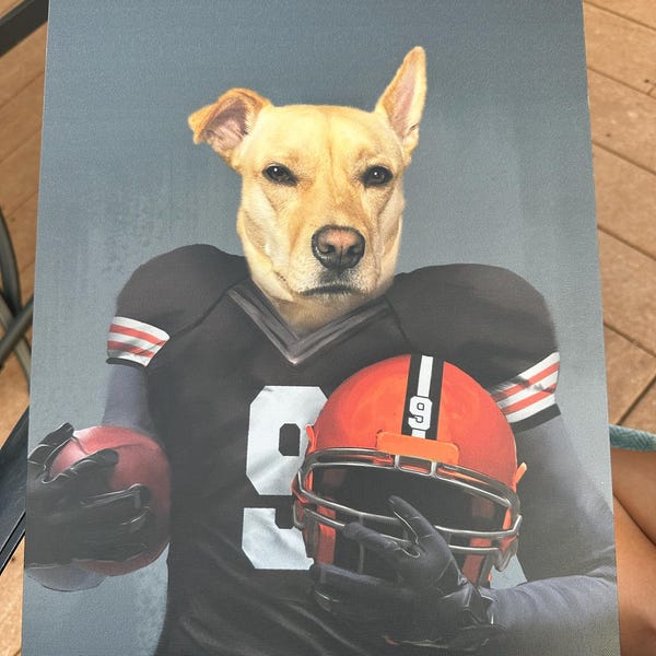 Custom Pet Portrait Football New England Patriots Canvas Funny Pet ...