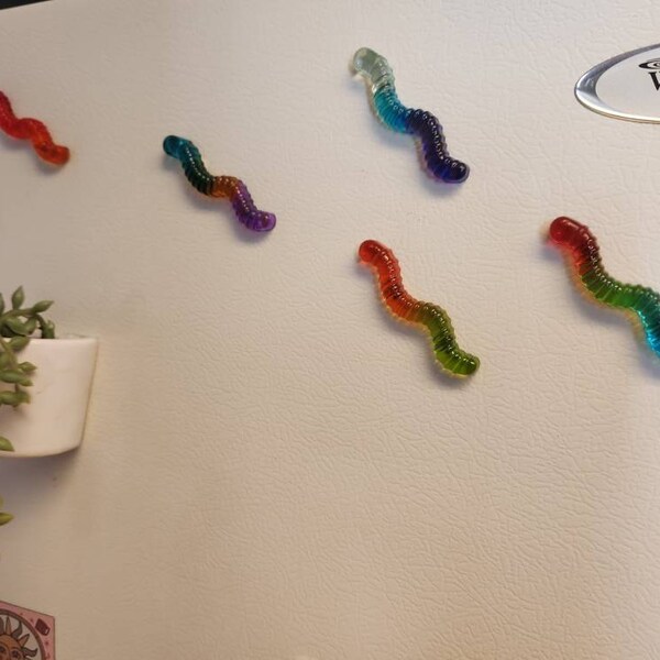 Sting Ray Magnet Set, Quirky Magents, Refrigerator Magnets, Funky ...