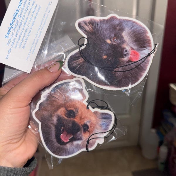 Funny Air Freshener Flaming Eye Freshener Cute Air Freshener Cool Air ...