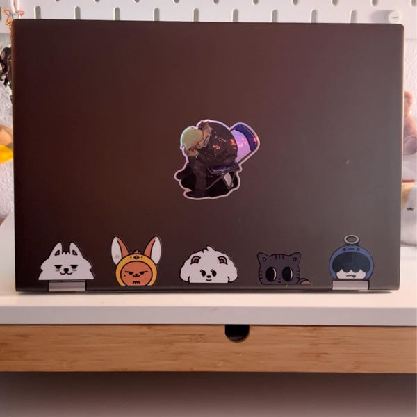 Skzoo Peeker Stickers Kpop Stickers Kpop Inspired Stickers Holographic ...