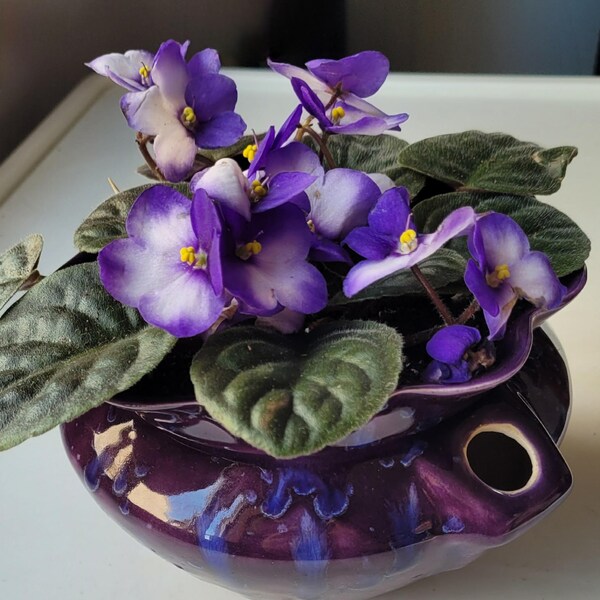 8" Ceramic FALL Tree - Etsy