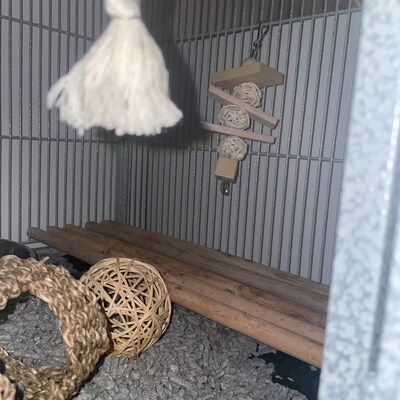 Nova Activity Rat Toy Perch for Cage Natural Cage Accessories - Etsy