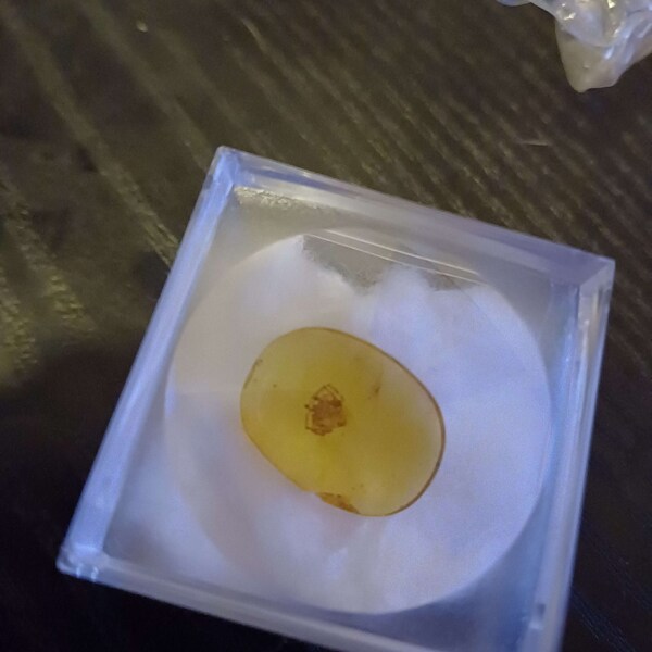 Burmese Amber Fossil With Spider Insect, Burmite Amber Inclusion - Etsy