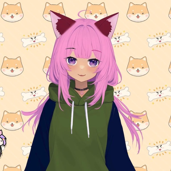 PngTuber, Weiße Katze Neko Girl 2d Vtuber / Vorgefertigtes & Presetup ...