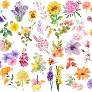 Pastel Digital Paper, Multi-colored, College Ruled, Lined Paper ...