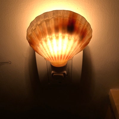Scallop Sea SHELL Nautical Beach Decor NIGHTLIGHT S7-348 - Etsy