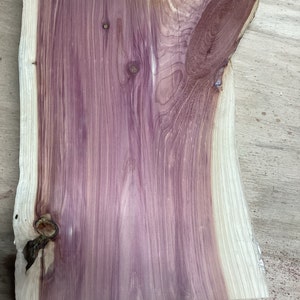 Eastern Red Cedar Slabs 2 Thick - Etsy