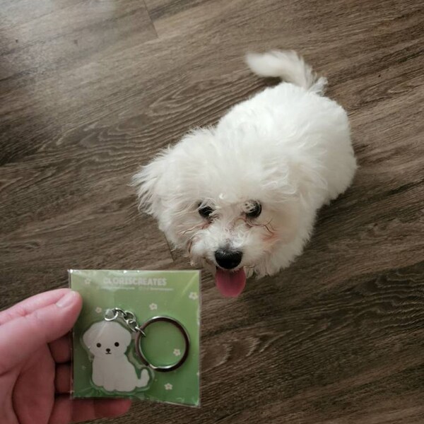 Bichon Frise Acrylic Dog Breed Keychain | Cartoon Kawaii Art Puppy ...