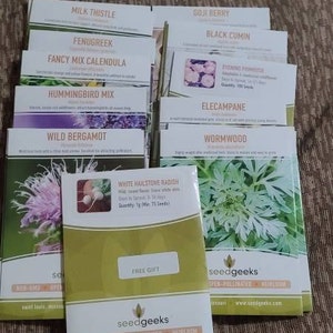 Northern Blazing Star Flower Seeds Heirloom Seeds, Native Seeds ...