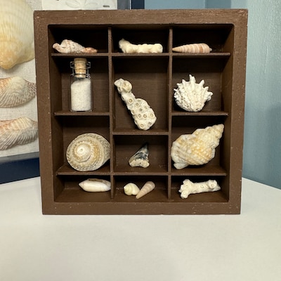 Wooden Curiosity Cabinet Printer Tray Letterbox Display, Rock Display ...