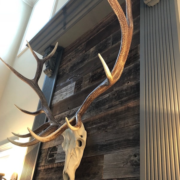 Deer Antler Towel Rack Coat Rack Individually Handcrafted for ...