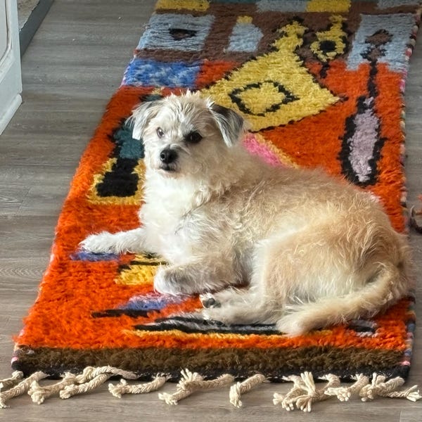 Moroccan Polka Dot Rugs, Beautiful Multi-colored Rugs, Custom Rugs ...