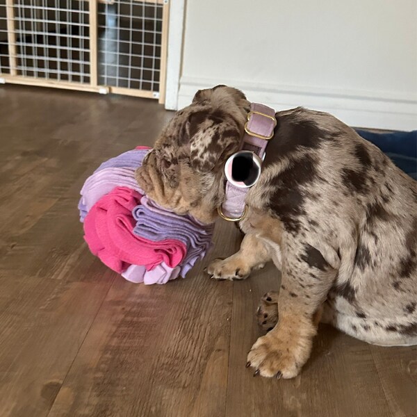 Snuffle Ball, Treat Dispenser, Treat Ball, Canine Enrichment, Keep Dogs ...