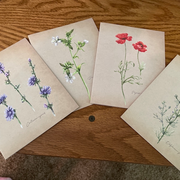 Watercolor Vintage Botanical Floral Wildflower Notecards - 12 Card Gift ...