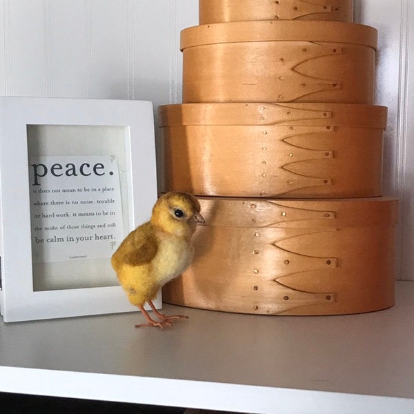 Needle Felted Baby Chick, Wool. Easter Chick, Realistic Toy - Etsy
