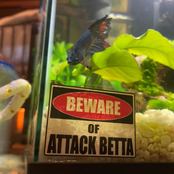 Koi Fish Bookmark, Bookmark for Kids, Bookmark With Tassel, Gift for ...