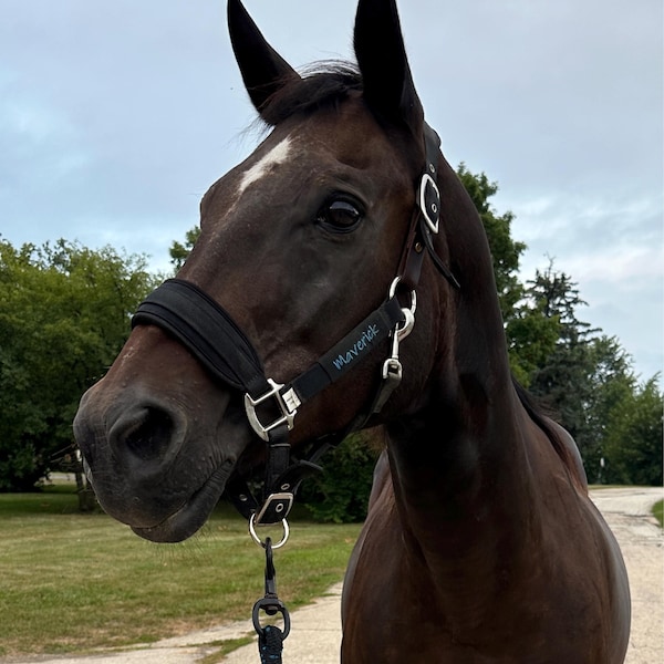 SMALL/MEDIUM Embroidered Halter Sleeves, Custom Horse Halter Name Tag ...