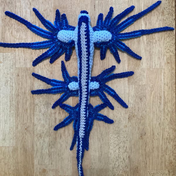 Nudibranchs Sea Slugs Set 1 Crochet Pattern by Crafty Intentions ...