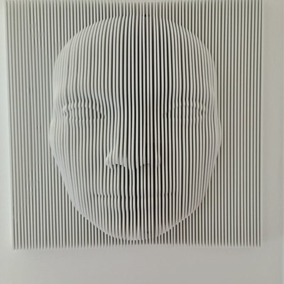 Parametric Face, White Human Face, New Design, 3D Wood Wall Decor Art ...