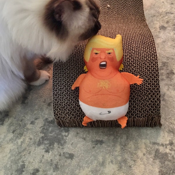 Donny-doll- Catnip Stuffed Baby Trump Doll. Baby Donald Trump Cat Toy ...