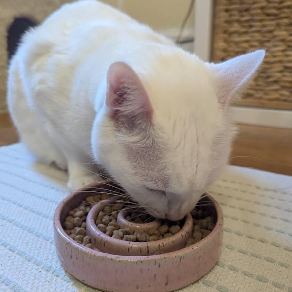 Colorful Ceramic Triangle Soap Dish | Draining | Handmade | Longer ...