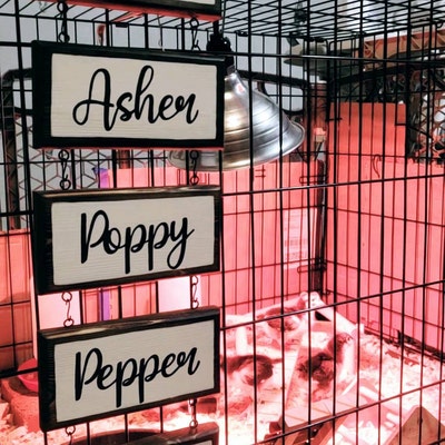 Chicken Coop Name Signcustom Name Platechicken Coop Signname Addition ...