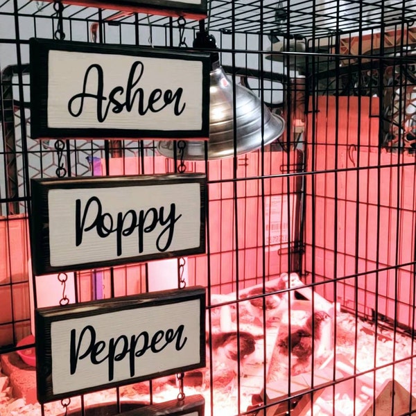 Chicken Coop Name Signcustom Name Platechicken Coop Signname Addition ...