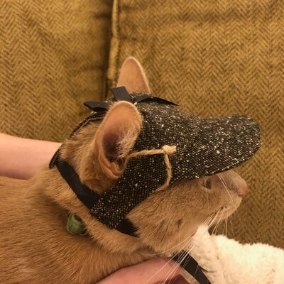 Ready to Ship. Halloween Classic Cat Hat. Cap for Cats and - Etsy