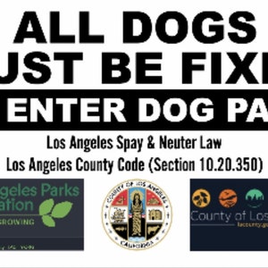 Trans Rights Are Human Rights Yard Sign 18x24 2 Sided | Etsy