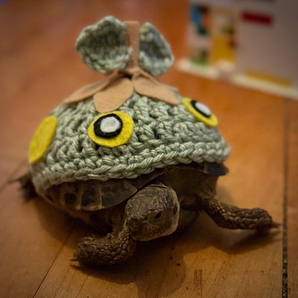 Magic Mushroom Crochet Costume for Turtles/ Tortoises - Etsy