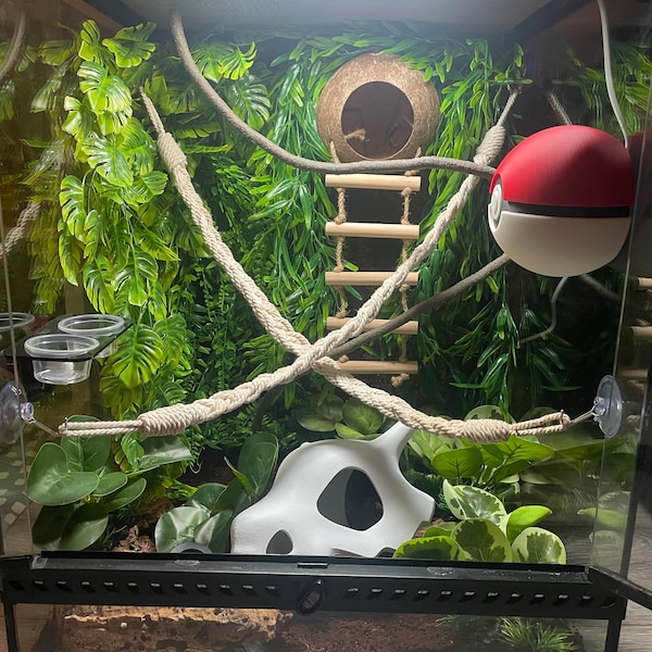 Reptile or Aquarium Corner Cave and Tunnel in 2 Sizes - Natural Style ...