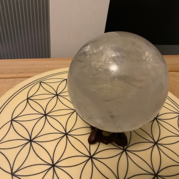 AAA LARGE Natural Conch Shells Decorate,17-20cm Large Natural Conch ...