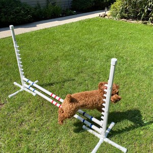 Dog Agility Weave Pole Training Guide Wires FREE SHIPPING - Etsy
