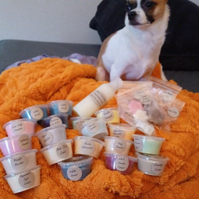 Sugared Spruce 2 Oz Shot Cup Wax Melt Tart Wax Melt Gift - Etsy