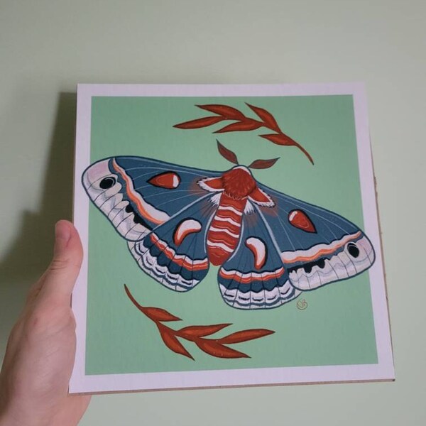 Sable Moth Acrylic Pin, Pins, Acrylic Pin, Moth Pin, Insect Pin ...