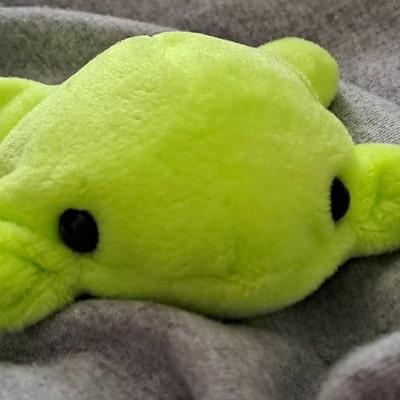 Neon Green Baby Bean Frogs. Cute Handmade Bean Filled Froggy Friends ...