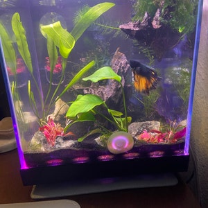 2-4 Gallon Nano Aquascape Decor SOUL CANYON Aquarium Dragon Rocks ...