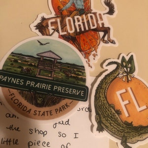 Watercolor Florida Grown Orange Die Cut Sticker | Etsy