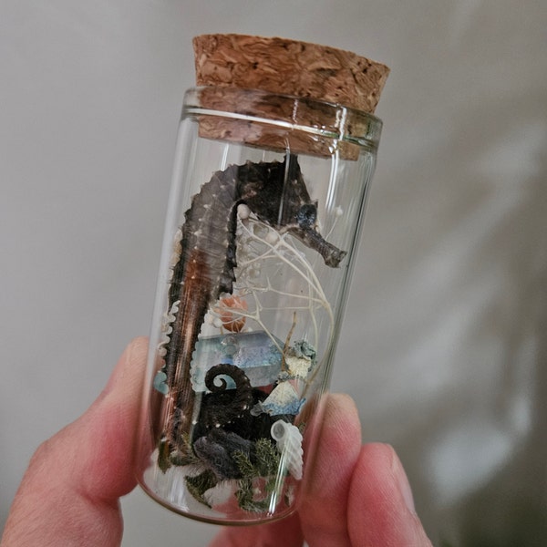 Lizard Vertebrae, Lizard in Vial Curiosity Oddity Natural History Real ...