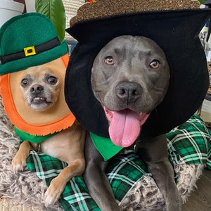 Astronaut Rocketship Pet Hat Costume for Cats Small Dogs and | Etsy