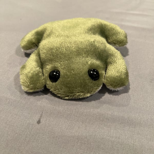 Frog Plush Ready to Ship// Pocket Frog Plushie// Bean Bag Frog// Toad ...