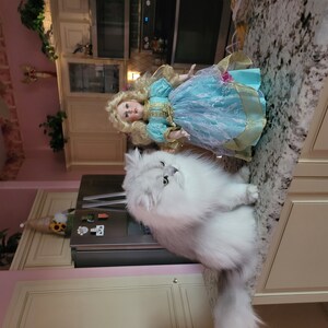 Magical Fairy Dust Spelled by REAL FARIES Bring More - Etsy